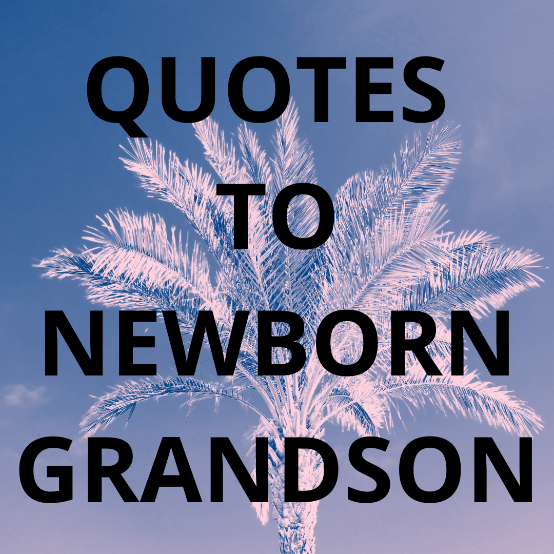 100+ BEST GRANDSON QUOTES - Grandparents adore Grandchildren